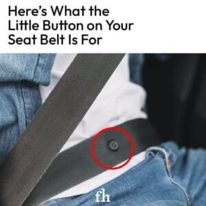 The Hidden Functionality: What’s the Little Button on Your Seat Belt ...